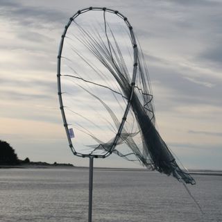 Whitebait Nets - Wild Outdoorsman NZ