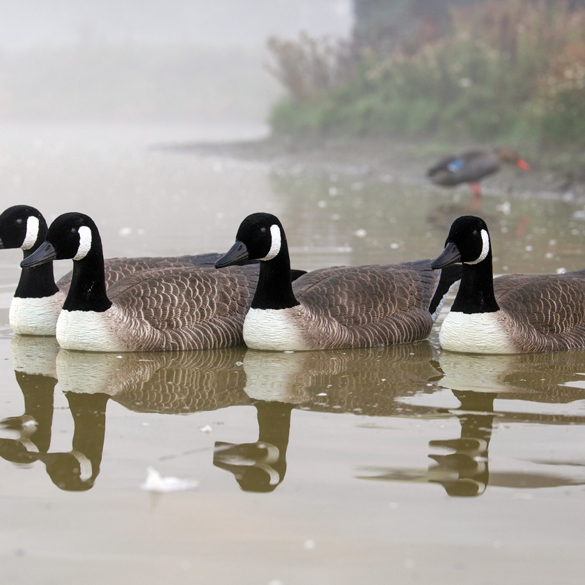 Game On Canada Goose Floater Decoys with Flocked Head & Tail 4 Pack ...